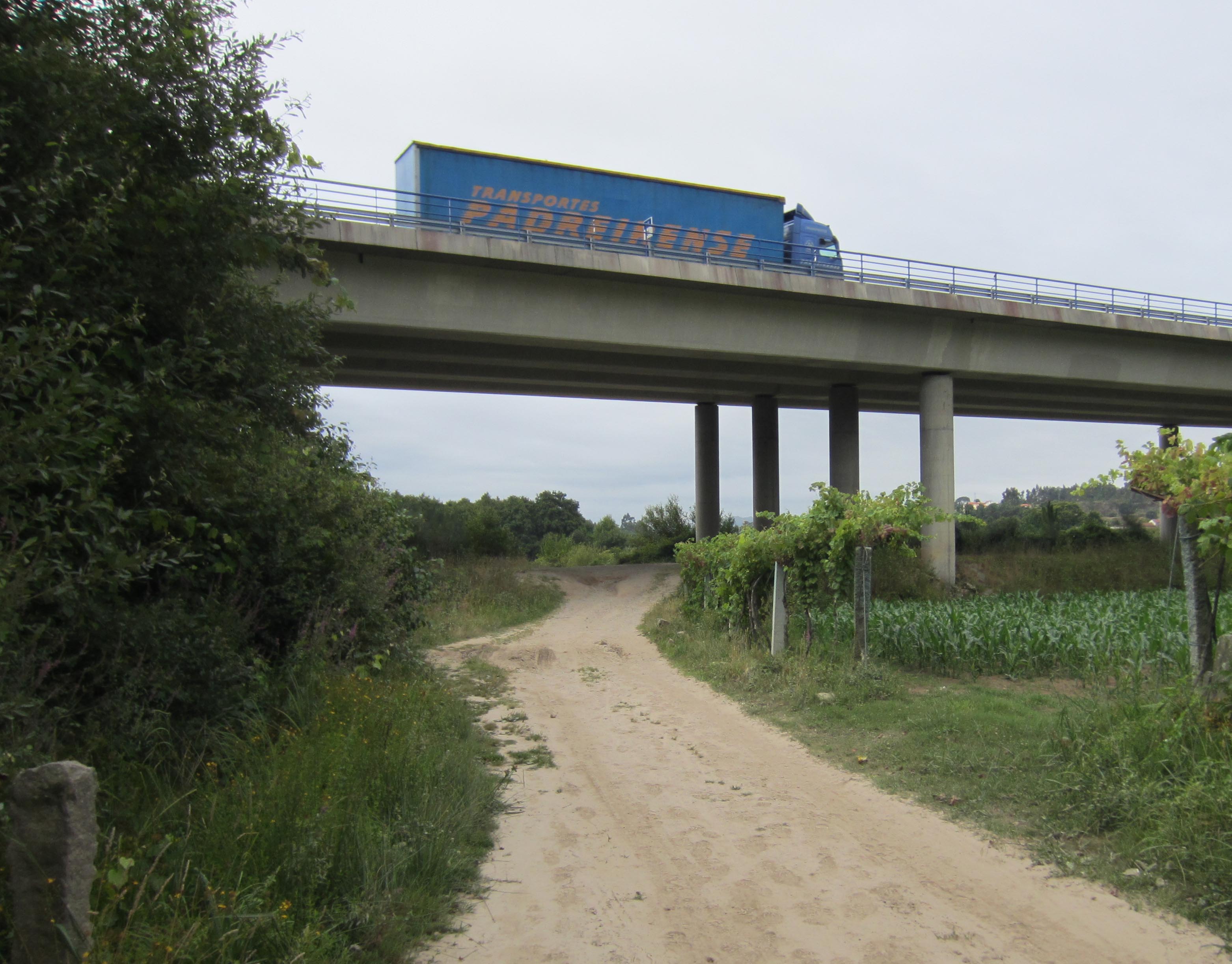 Camino de Santiago | Walk Ten Thousand Miles