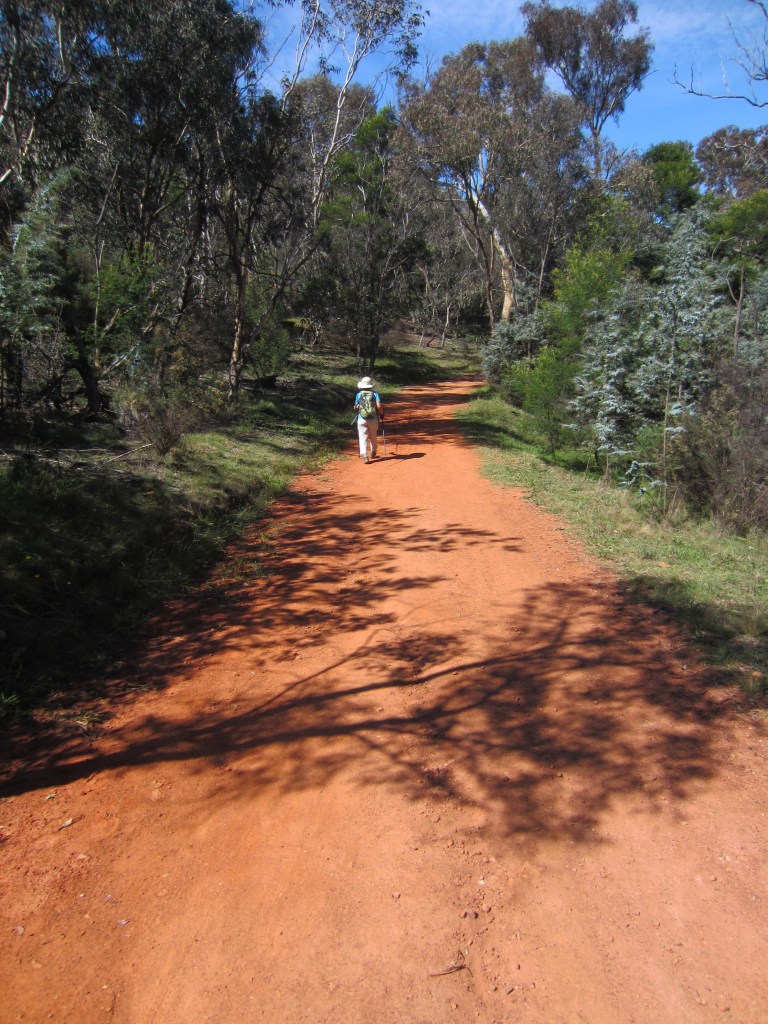 Canberra International Walking Weekend, Day One | Walk Ten Thousand Miles